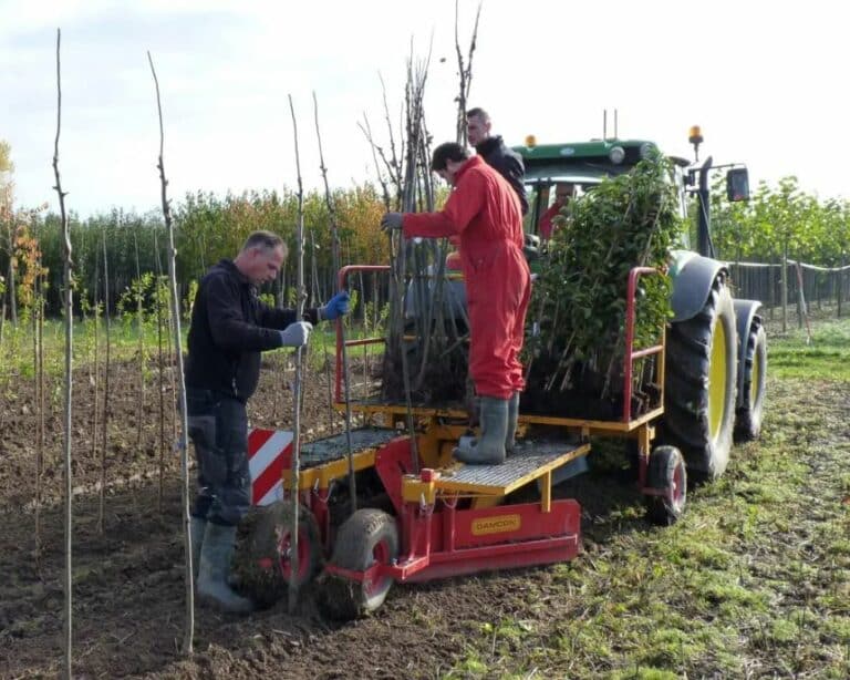 Choosing the Right Transplanter - Buying Guides AgriExpo