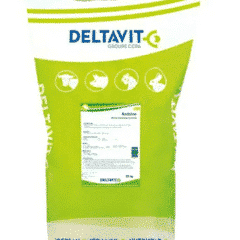 Choosing the Right Feed Supplement - Buying Guides AgriExpo